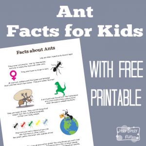 Fun Ant Facts for Kids - Itsy Bitsy Fun