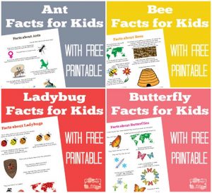Fun Facts for Kids - free learning printables - Itsy Bitsy Fun