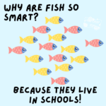 25+ Fish Puns and Jokes for Kids - Itsy Bitsy Fun