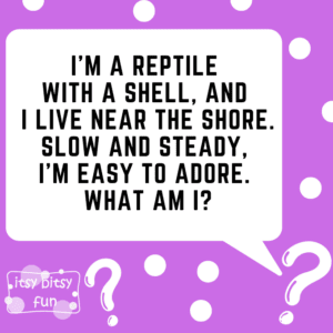 Turtle Riddles for Kids - Itsy Bitsy Fun