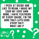 Chicken Riddles for Kids - Itsy Bitsy Fun