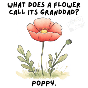 25+ Flower Jokes and Puns for Kids - Itsy Bitsy Fun