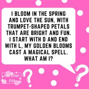 25+ Daffodil Jokes and Riddles for Kids - Itsy Bitsy Fun