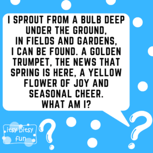 25+ Daffodil Jokes and Riddles for Kids - Itsy Bitsy Fun