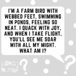 Duck Riddles for Kids - Itsy Bitsy Fun