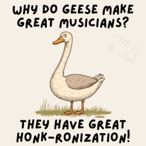 25+ Goose Jokes and Riddles for Kids - Itsy Bitsy Fun