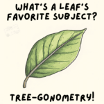 25+ Leaf Puns and Jokes for Kids - Itsy Bitsy Fun