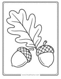 Free Printable Acorn Coloring Pages - Itsy Bitsy Fun