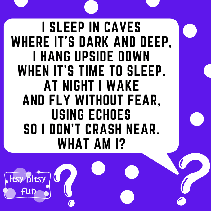 Bat Riddles for Kids - Itsy Bitsy Fun