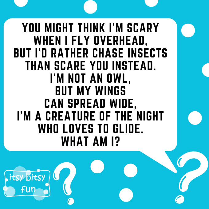 Bat Riddles for Kids - Itsy Bitsy Fun