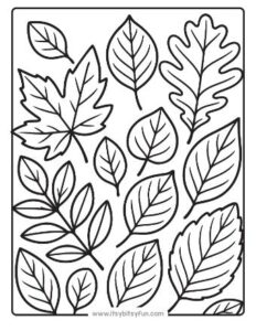 Fall Leaves Coloring Pages - Itsy Bitsy Fun