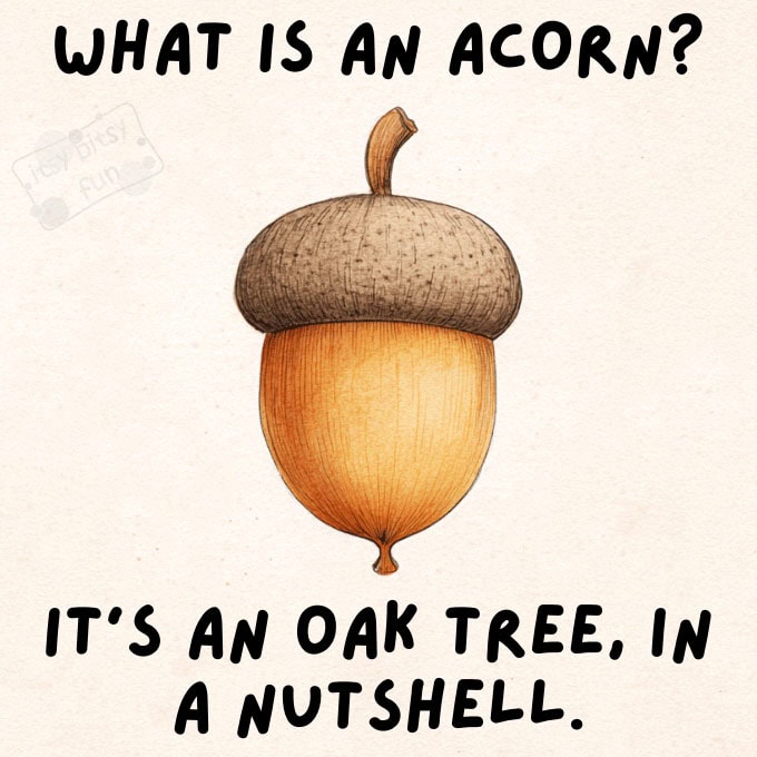 25+ Acorn Puns and Jokes for Kids - Itsy Bitsy Fun