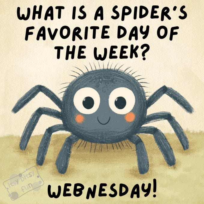 25+ Spider Puns and Jokes for Kids - Itsy Bitsy Fun