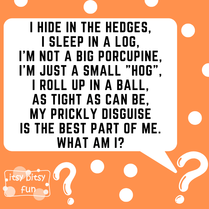 Hedgehog Riddles for Kids - Itsy Bitsy Fun