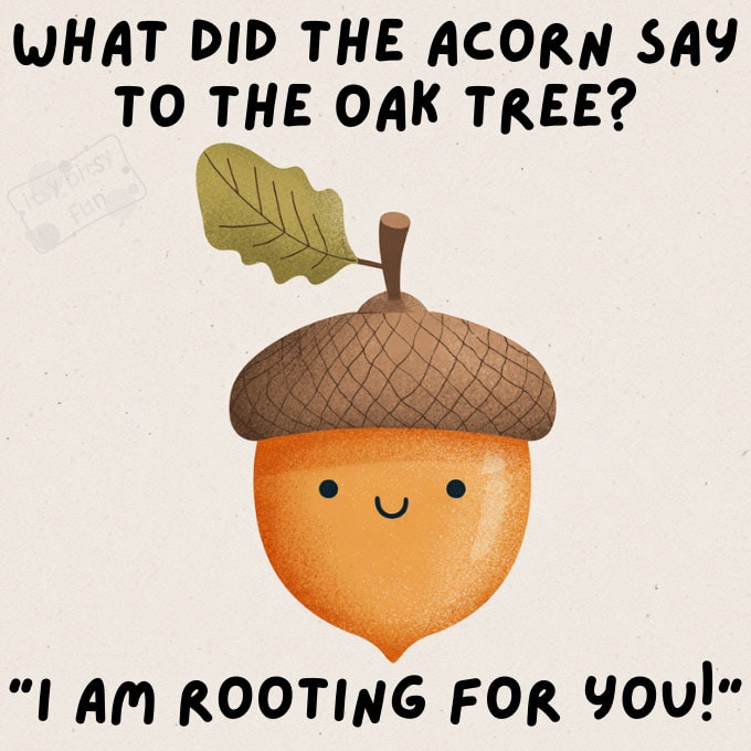 25+ Acorn Puns and Jokes for Kids - Itsy Bitsy Fun