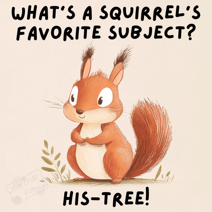 25+ Squirrel Puns and Jokes for Kids - Itsy Bitsy Fun