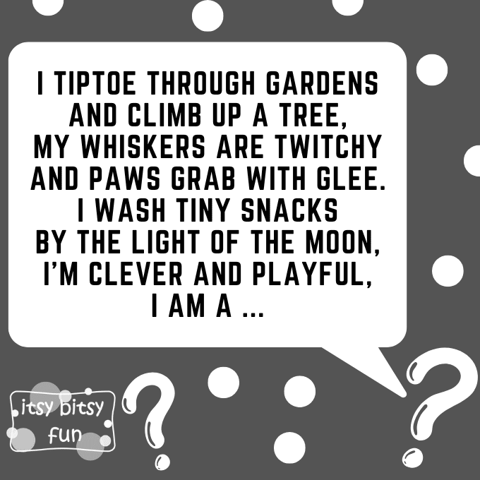 Raccoon Riddles for Kids - Itsy Bitsy Fun