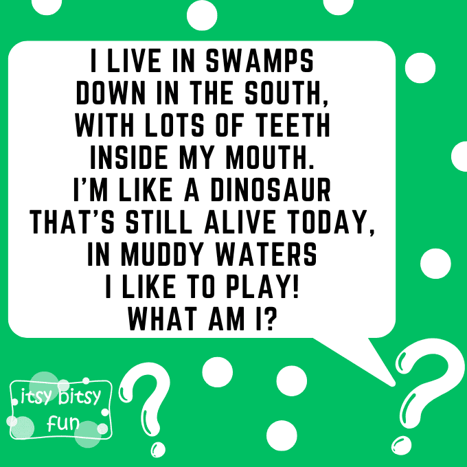 Alligator Riddles for Kids - Itsy Bitsy Fun