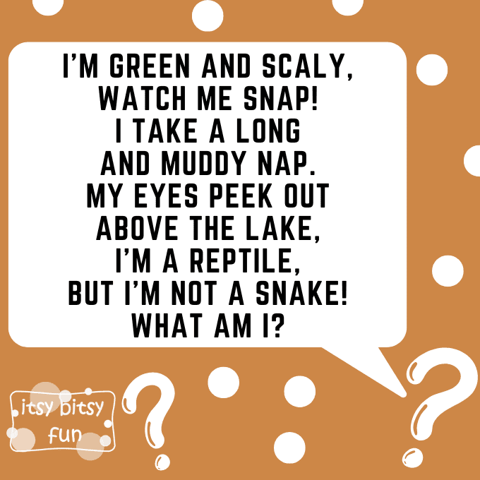 Alligator Riddles for Kids - Itsy Bitsy Fun