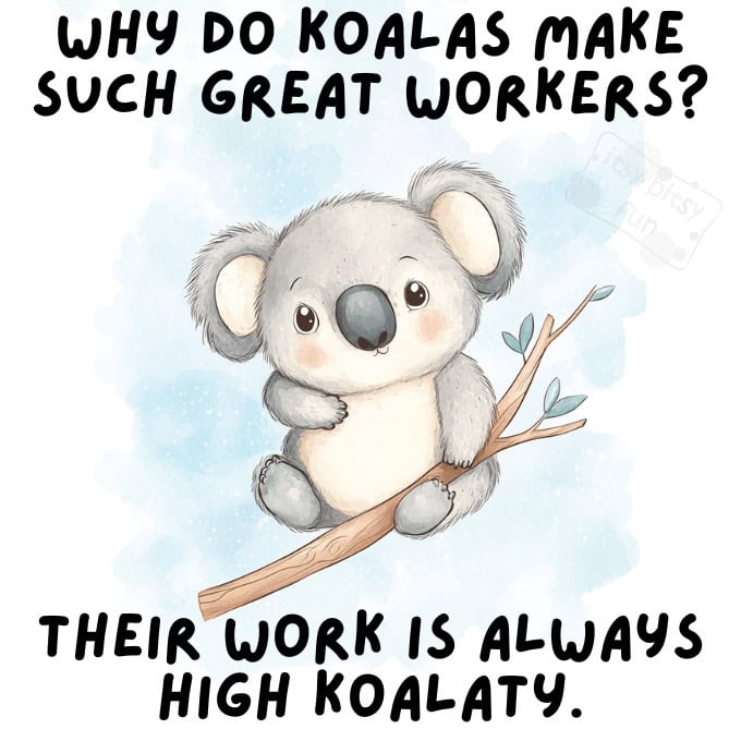 25+ Koala Puns and Jokes for Kids - Itsy Bitsy Fun